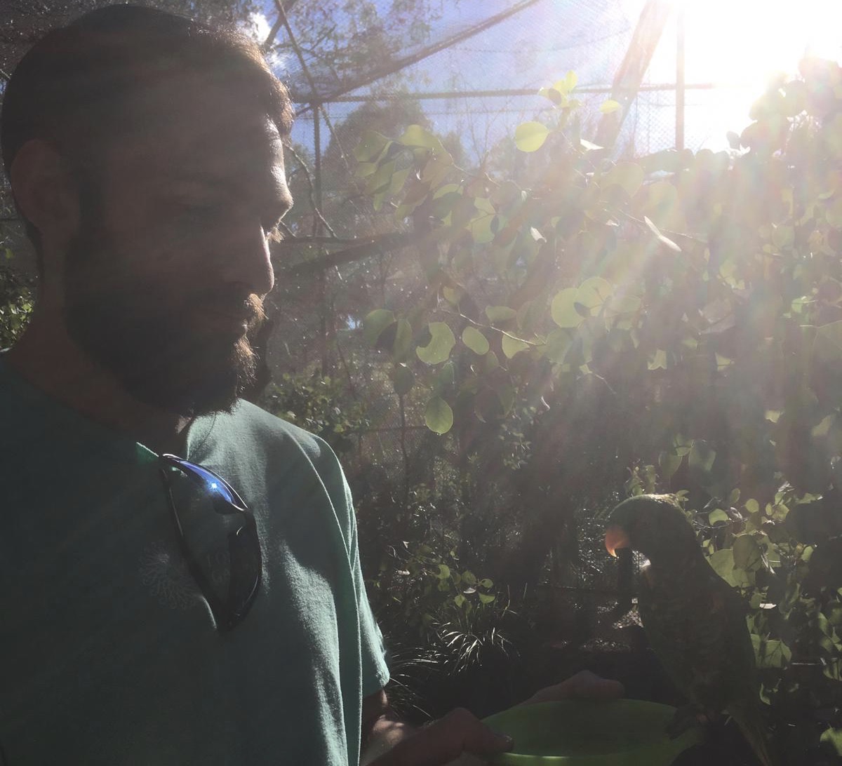 About my orchid career – Greg Griffis