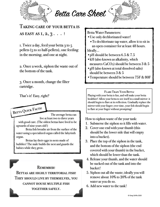 Betta Care – Greg Griffis